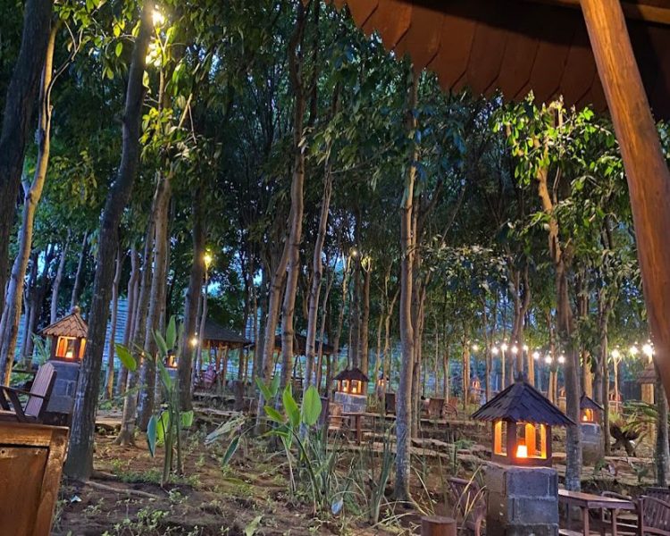 Menikmati Kesejukan dan Keindahan Hutan Pinus di Kaki Gunung Wilis ...