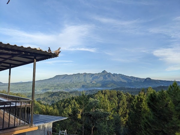 Cafe Outdoor Blitar, Nikmati Suasana Alam yang Nyaman
