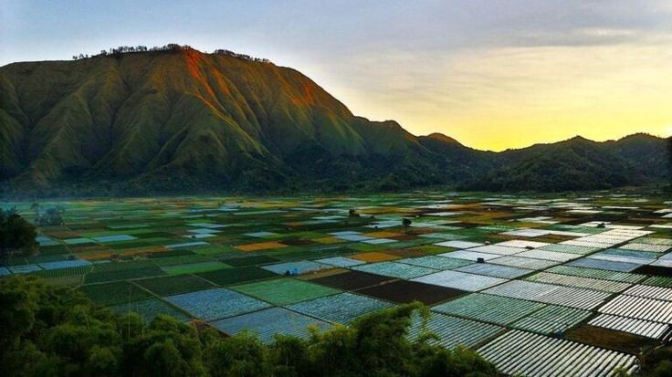 Desa Sembalun: Destinasi Wisata Populer di Kaki Gunung Rinjani - Tugu ...